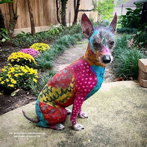Xolo Alebrije ¡feliz Domingo Bit Ly Alebrijes Historia Disfraces