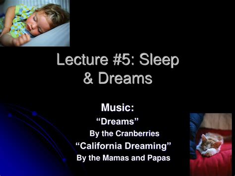 Ppt Lecture 5 Sleep And Dreams Powerpoint Presentation Free Download Id 983869