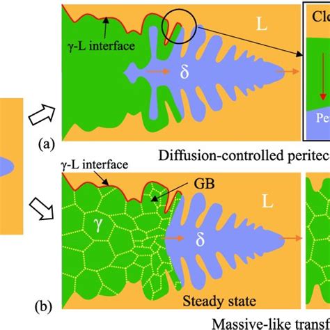 Pdf Transformation From Ferrite To Austenite During After Solidification In Peritectic Steel