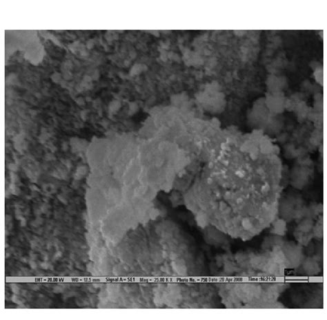 Sem Image Of The Used Catalyst Download Scientific Diagram
