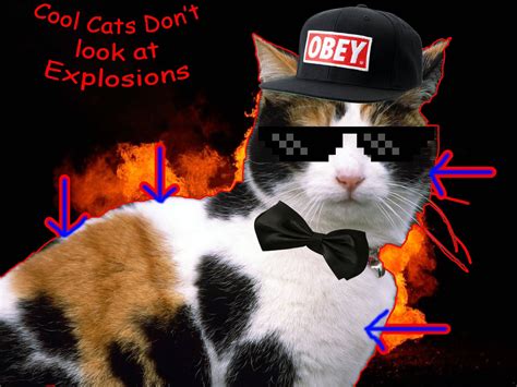 20 Cats Walking Away From Explosions As A Parody To Cool Guys Dont