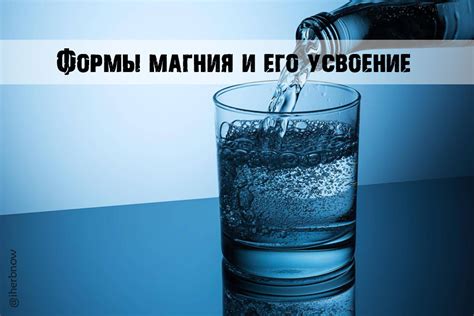 Лучшая форма магния с точки зрения усвоения и пользы для организма