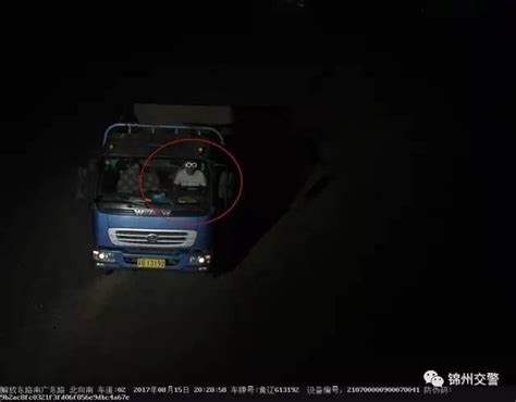 錦州查處不系安全帶違法車輛500多台次看看有你嗎 每日頭條