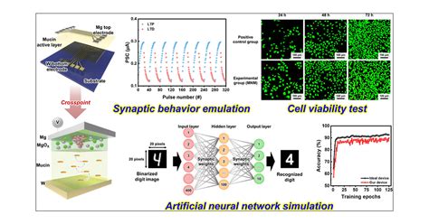 Biocompatible Neuromorphic Device Array Based On Naturally Sourced