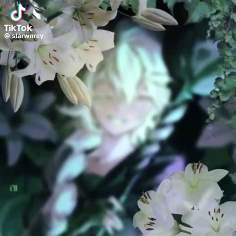 Pure Vanilla Cookie Wallpaper Laptop