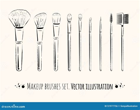 Makeup Brushes Kit Stock Vector Image 51977756