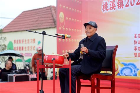 桃溪镇：冬季村晚出新招舒城县人民政府