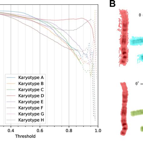 a pearson correlation of estimated and reference chromosome sizes at
