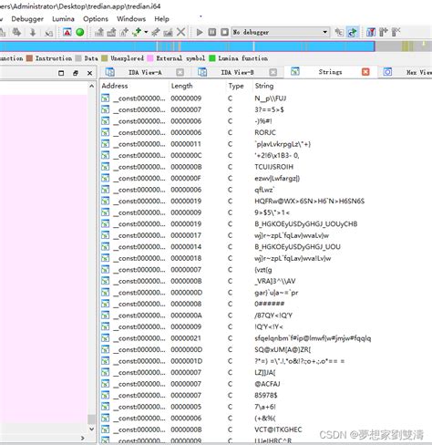 Ida 64 String中文乱码ida 中文乱码 Csdn博客
