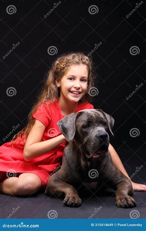 Feliz Hermosa Chica Con Vestido Rojo Con Un Perro Grande Imagen De