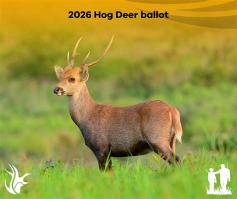 Xcalibre Gun Safety Our June 29 Class Is Fully Booked July 6th Is Now Open For Bookings So