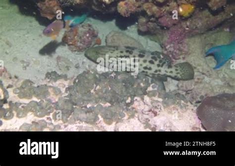 Fragile Ecosystem Stock Videos And Footage Hd And 4k Video Clips Alamy