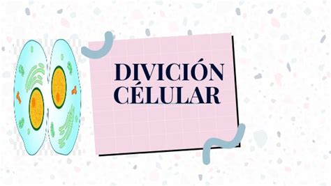 Divicion Celular Genially