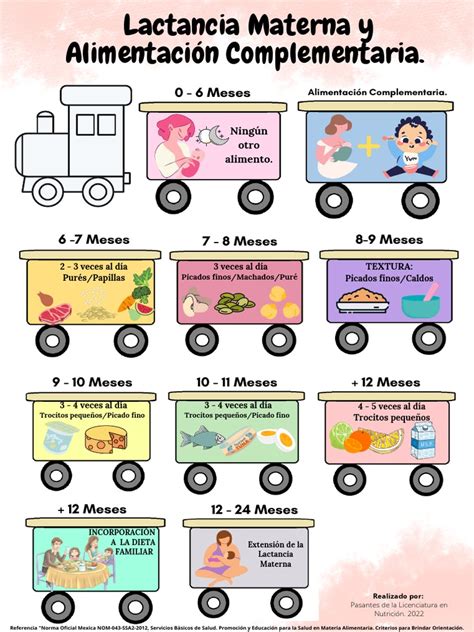 Alimentación Complementaria Cartel Pdf Salud Pública Nutrición