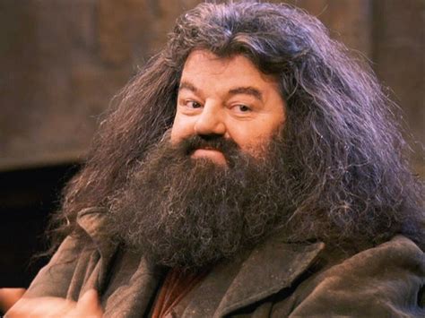 Rubeus Hagrid Fictional Characters Wiki Fandom