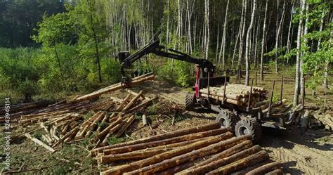 Stockvideon Timber Loading Loading Logs Into A Truck Timber