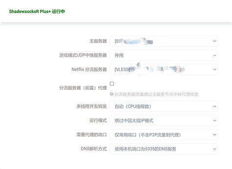Ssr Plus插件绕过大陆ip模式会出现被回国模式名单影响的现象 · Issue 8827 · Coolsnowwolflede