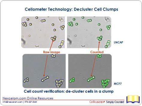 Why Use Image Based Cellometer
