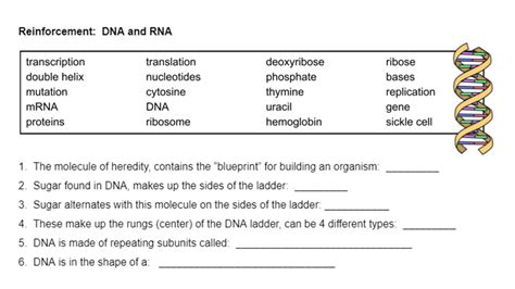 Free Biology Dna Worksheet Download Free Biology Dna Worksheet Png
