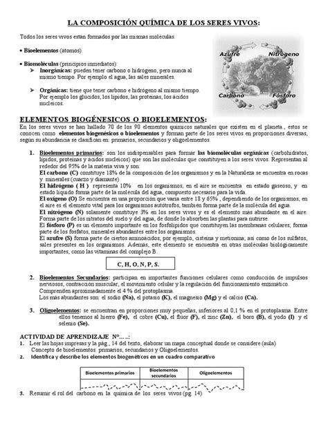 La Composición Química De Los Seres Vivos Pdf Organismos Biomoléculas