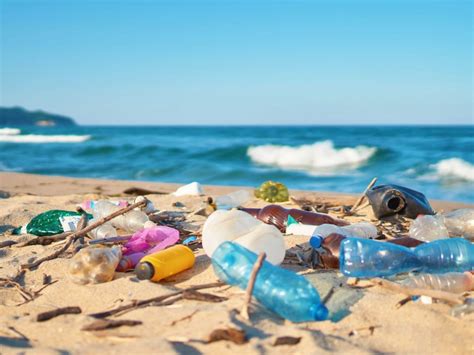 「脱プラスチック容器」で、プラスチックごみによる環境問題に貢献を 天満紙器