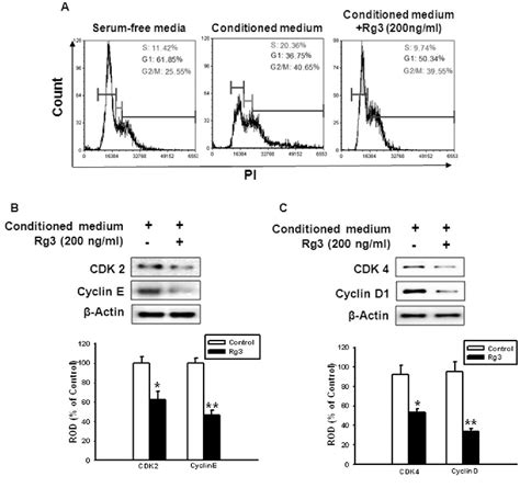 Figure 1 From Pivotal Roles Of Ginsenoside Rg3 In Tumor Apoptosis