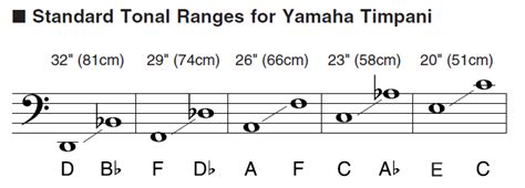 What Are The Ranges Of Various Timpani Rpercussionists