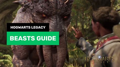 Hogwarts Legacy Beasts How To Catch And Tame Creatures GAMEDOC ORG