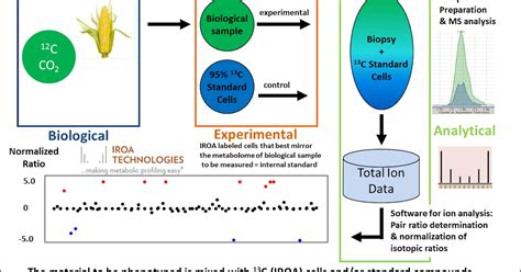 how metabolomics data analysis tools can facilitate metabolomics research