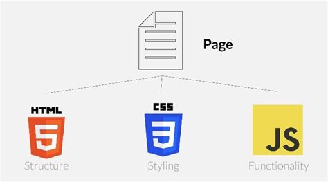 Html Javascript Css Scss Tailwind Webflow Framer Developer Web