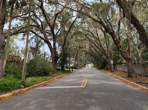This Stunning Oak Canopy In Florida Is What Dreams Are Made Of—and You