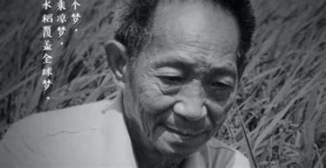 袁隆平：我有两个梦，一个是禾下乘凉，一个是杂交水稻覆盖全球腾讯新闻