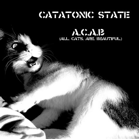 A C A B All Cats Are Beautiful Catatonic State