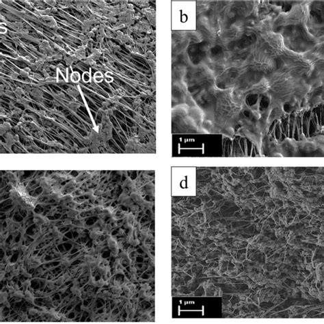 Morphology Of A Unmodified Eptfe B Sample Ah C Sample An And