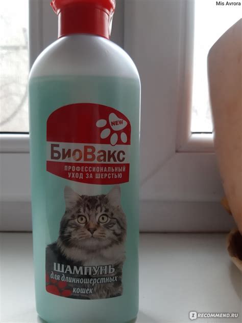 Шампунь для кошек Профессиональный уход за шерстью БиоВакс - «Отличный ...