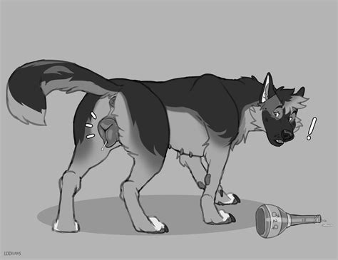 Rule 34 Absurd Res All Fours Animal Genitalia Animal Pussy Anus