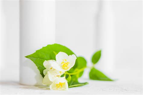 디스펜서와 플라콘이 있는 브랜드가 없는 스킨케어 제품 플라스틱 병 크림 샴푸 튜브 녹색 재스민 꽃과 흰색 배경에 그들의 그림자 고립 모형 및 복사 공간 개념에 대한 스톡