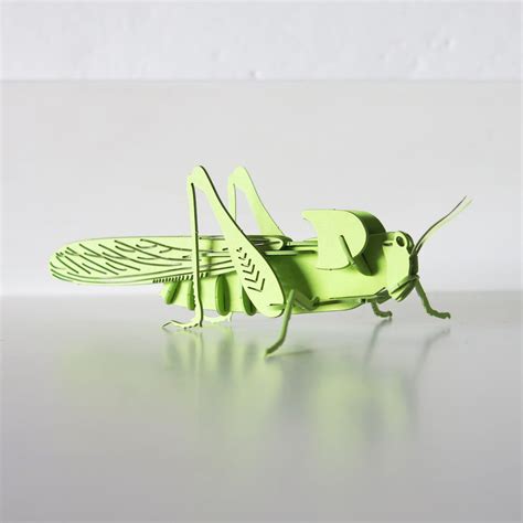 3d Paper Grasshopper — Thorsten Van Elten