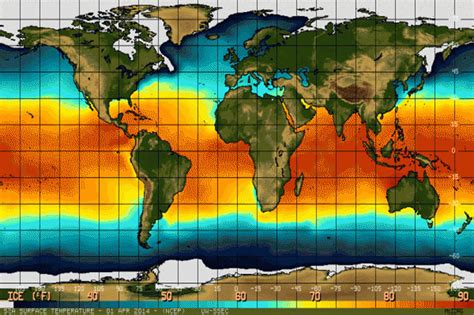Cara Antisipasi Dampak El Nino Suara Surabaya