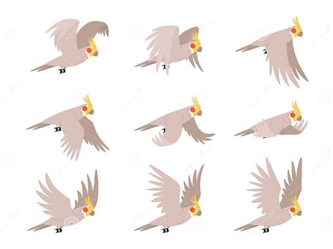 Cartoon Cockatoo Parrot Fly Animation Frames Sequence Animated Sprites Loop Of Tropical Bird