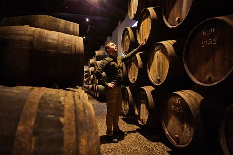 Joven Roble O Crianza Cuál Es La Edad Del Vino