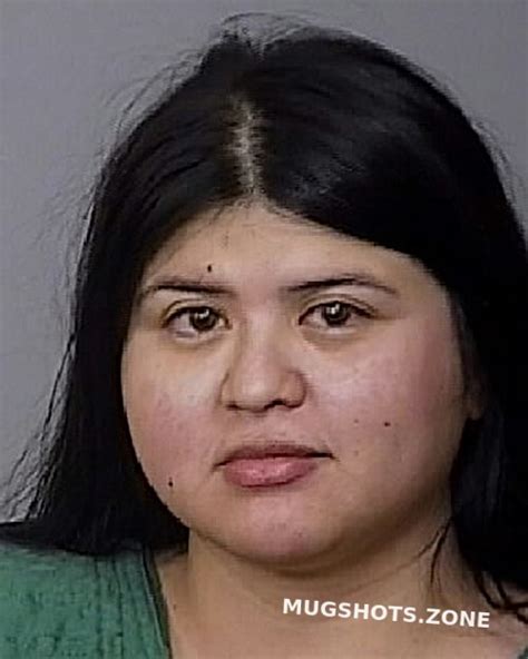 HERNANDEZ HERNANDEZ KAREN E 02 14 2024 Manatee County Mugshots Zone