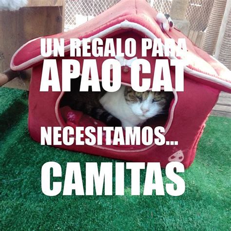 En Apao Cat hace bastante frío porque el santuario está en la montaña