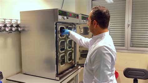 Video Generation Of Functional Endodermal Hepatic Organoids