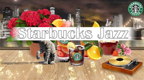 스타벅스 재즈 스타벅스 커피 음악과 함께하는 에너지 뉴데이 스타벅스 음악 Morning Jazz And Bossa Nova Music Youtube