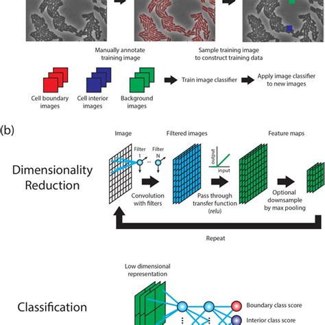 Comparison Of Segmentation Performance Among Different Segmentation
