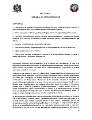 Práctica 3 Hipoglucemia PRACTICA No 3 CHOQUE HIPOGLUCÉMICO
