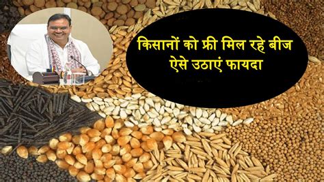 Free Beej Yojana सरकार किसानों को फ्री दे रही मक्का बाजारा ज्वार