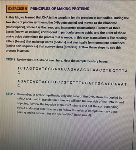 Solved EXERCISE PRINCIPLES OF MAKING PROTEINS In This Lab Chegg