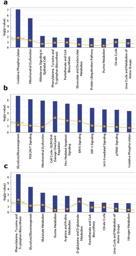 Y Axis Represents The Log P Value Download Scientific Diagram